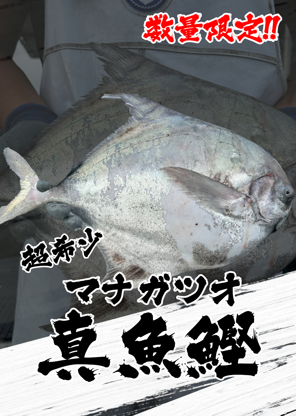 はまゆうショップ – Hamayu-Shop