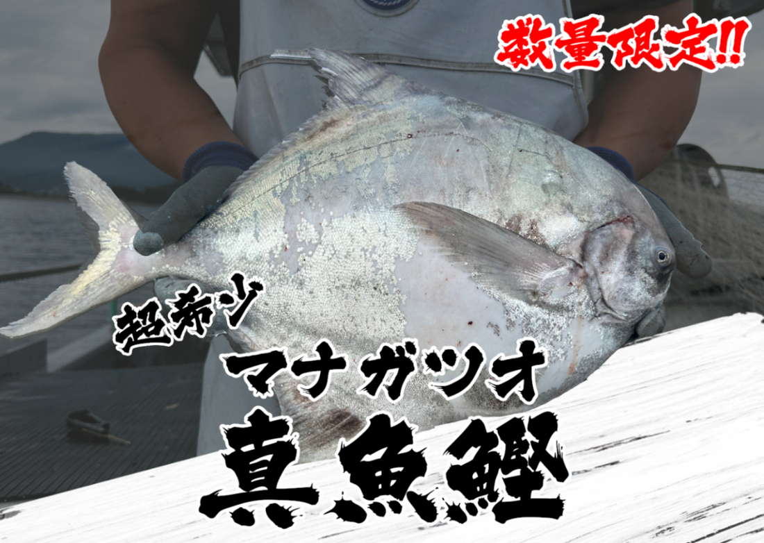 はまゆうショップ – Hamayu-Shop