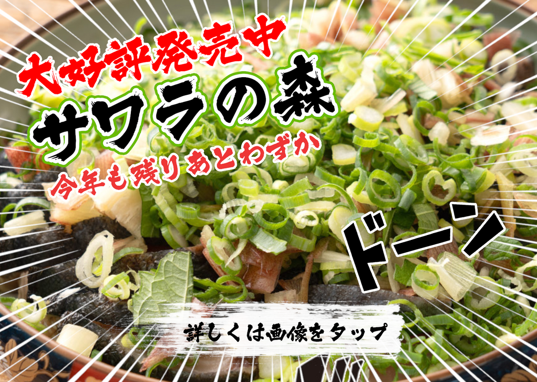 はまゆうショップ – Hamayu-Shop